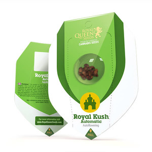Cannabissamen von Royal Kush Auto kaufen - Royal Queen Seeds
