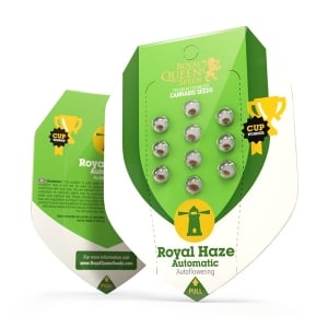 Cannabissamen von Royal Haze Auto kaufen - Royal Queen Seeds