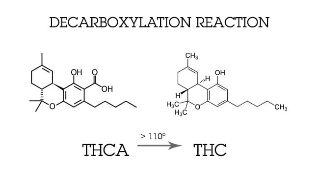 Warum Es So Wichtig Ist Dein Weed Zu Decarboxylieren - RQS Blog